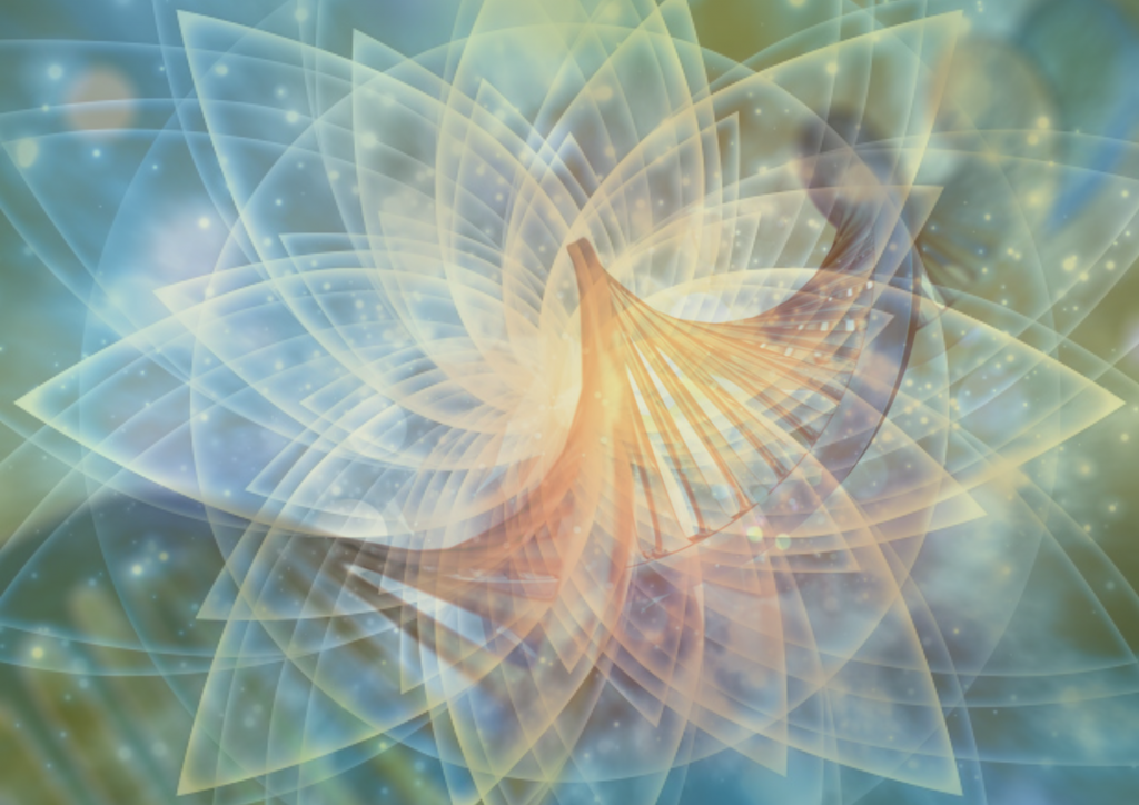 FUNDAMENTALS IN TRAUMA-INFORMED APPROACHES - DHARMA STARS