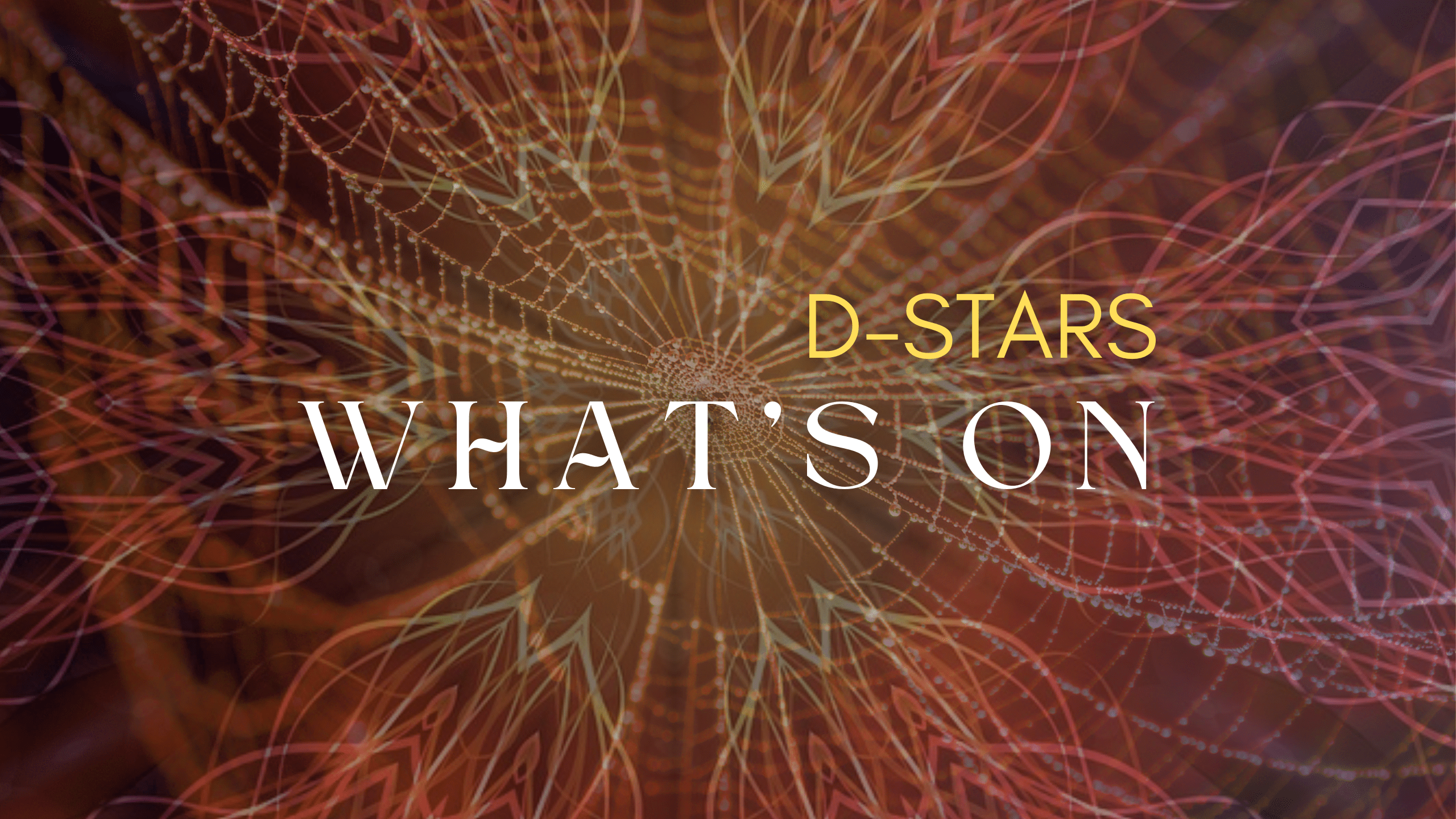 What's On - DHARMA STARS