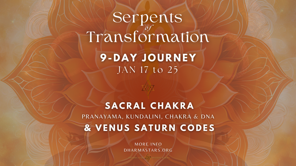 Serpents of Transformation - Sacral Chakra Journey - DHARMA STARS